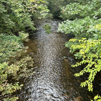 PARADISE STREAM - Updated February 2025 - 725 Photos & 279 Reviews ...