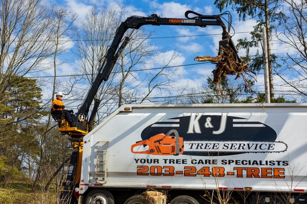 K&J TREE SERVICE - Updated December 2025 - 61 Photos & 38 Reviews - 2 ...