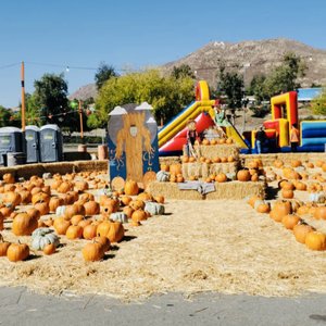 LITTLE RASCALS PUMPKIN PATCH - Updated October 2025 - 29 Photos & 15 ...
