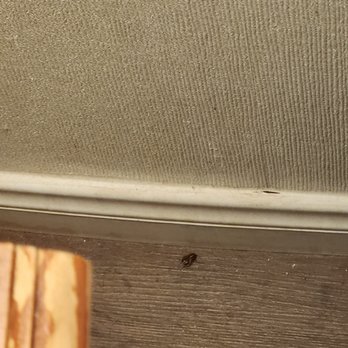 RODEWAY INN MAGIC MOUNTAIN AREA - Updated June 2024 - 315 Photos & 212 ...