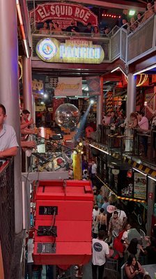 EL SQUID ROE - Updated July 2025 - 353 Photos & 304 Reviews - Col. Centro, Cabo San Lucas, Baja ...