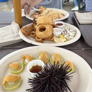 SANTA BARBARA SHELLFISH COMPANY - 5633 Photos & 2824 Reviews - 230 ...