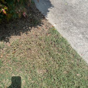 VIRGINIA GREEN - Updated November 2024 - 53 Photos & 74 Reviews - 7421 ...