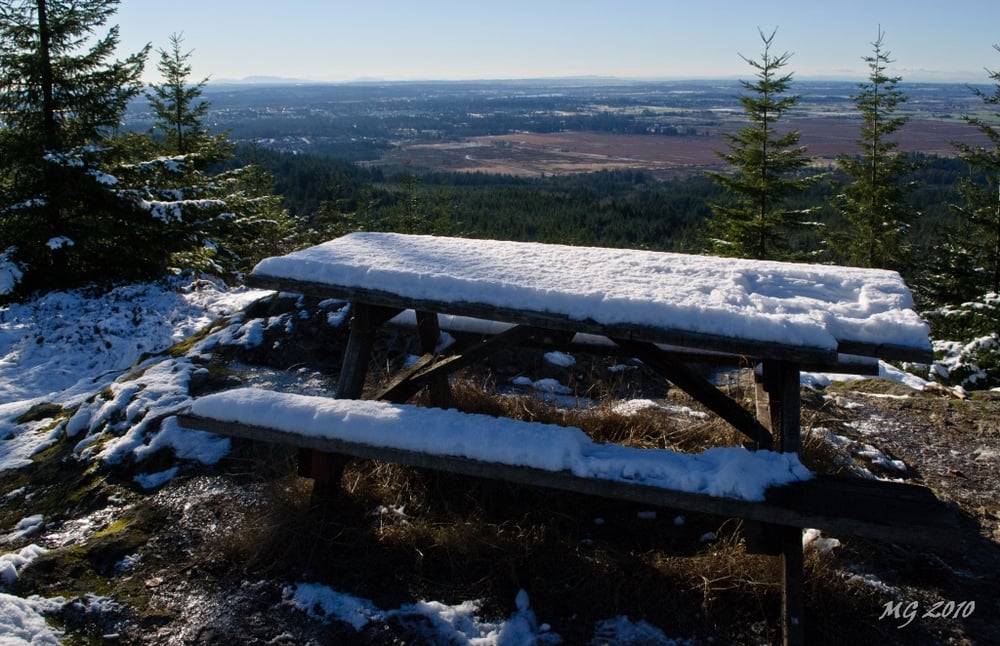 MALCOLM KNAPP RESEARCH FOREST - Updated January 2025 - 11 Photos ...