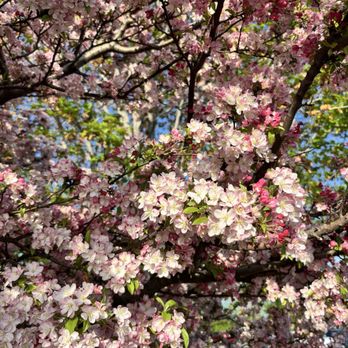 RASPBERRY ISLAND REGIONAL PARK - Updated December 2025 - 82 Photos - 2 ...