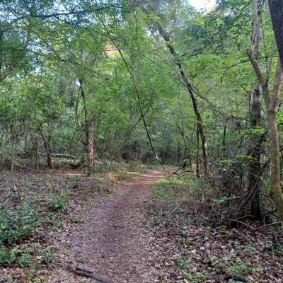 BIVENS ARM NATURE - Updated December 2025 - 44 Photos - 3650 S Main St ...