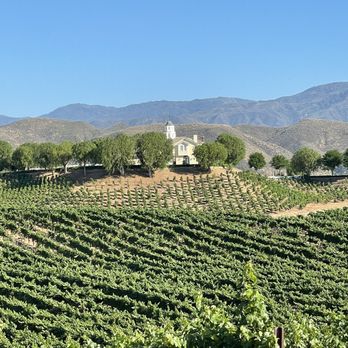 LEONESS CELLARS - 2538 Photos & 1985 Reviews - 38311 DePortola Rd ...