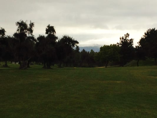 CALIMESA EVENT CENTER - Updated October 2025 - 20 Photos & 37 Reviews ...