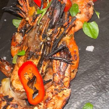 XACALLI KITCHEN - Updated July 2024 - 297 Photos & 155 Reviews - 28222 ...