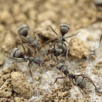 SELECT EXTERMINATING - Updated December 2025 - 59 Photos & 34 Reviews ...