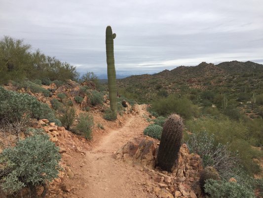 HAWES TRAIL SYSTEM - Updated August 2025 - 11 Photos - Mesa, Arizona ...