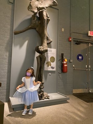 RAYMOND M ALF MUSEUM OF PALEONTOLOGY - Updated November 2025 - 143 ...