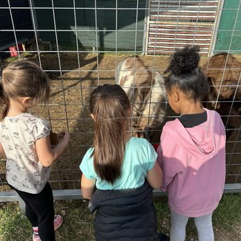 SHARKAROSA WILDLIFE RANCH - Updated January 2026 - 312 Photos & 136 ...