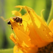 JACOBS FARMS - 119 Photos & 24 Reviews - 5285 Snell Ave, San Jose, CA ...