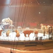 SELLAND ARENA AT FRESNO CONVENTION & ENTERTAINMENT CENTER - 54 Photos ...