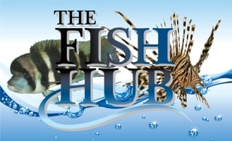 THE FISH HUB - Updated April 2026 - 193 W 5th Ave, Murray, Utah - Pet ...