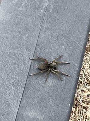 LAKE EL RENO - Updated August 2025 - 15 Photos - Babcock Dr, El Reno ...