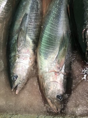 J DELUCA FISH COMPANY - 39 Photos & 11 Reviews - Seafood Markets - 2194 ...