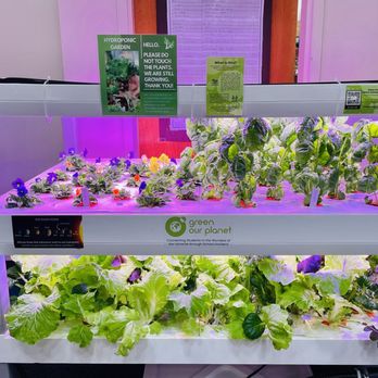 SUMMERLIN LIBRARY - Updated September 2025 - 190 Photos & 84 Reviews ...