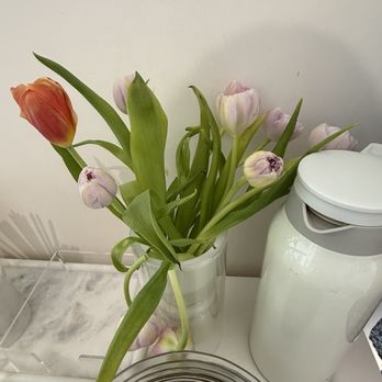 LE BLOOM - Updated December 2025 - 39 Photos & 19 Reviews - 4152 Travis ...