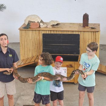 JUNGLE ISLAND - Updated June 2025 - 1294 Photos & 531 Reviews - 1111 ...