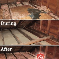 RODENT CONTROL - 70 Photos & 223 Reviews - 5455 Wilshire Blvd, Los ...