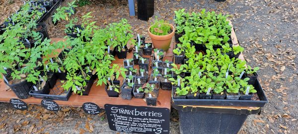 THE BEE’S KNEES FARMSTAND - Updated October 2025 - 11 Photos - 969 NE ...