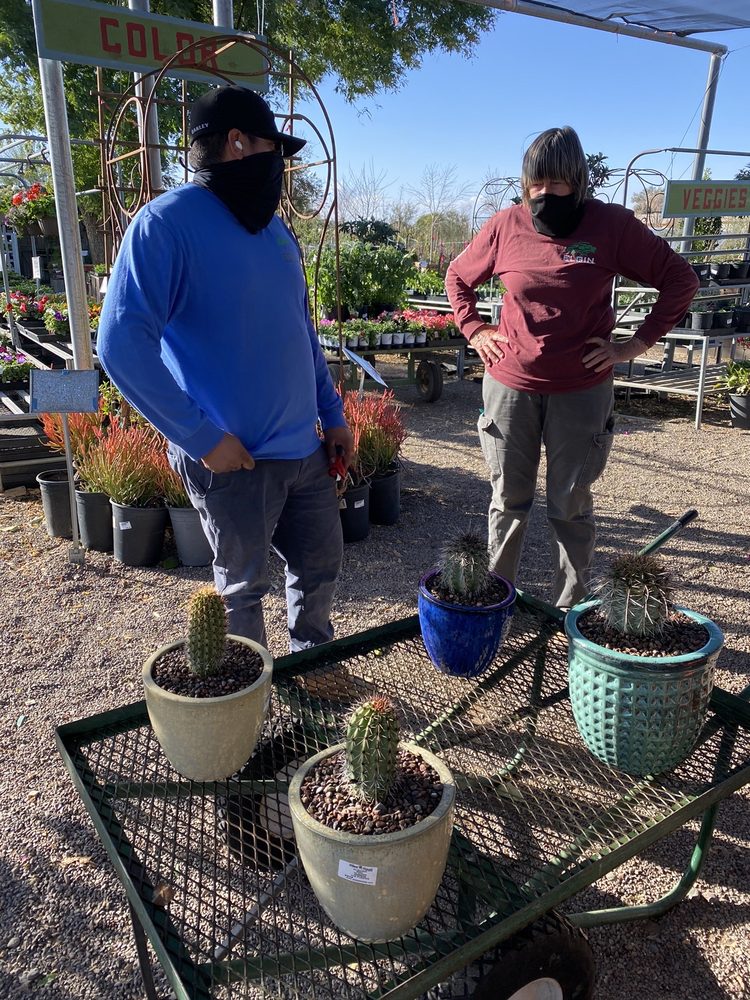 ELGIN NURSERY & TREE FARM - Updated December 2024 - 24 Photos & 58 ...