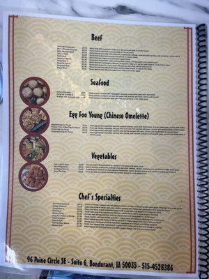 FLAMING WOK - Updated April 2025 - 28 Photos & 15 Reviews - 96 Paine ...