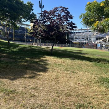 GALLAGHER SQUARE - Updated January 2025 - 122 Photos & 37 Reviews - 100 ...