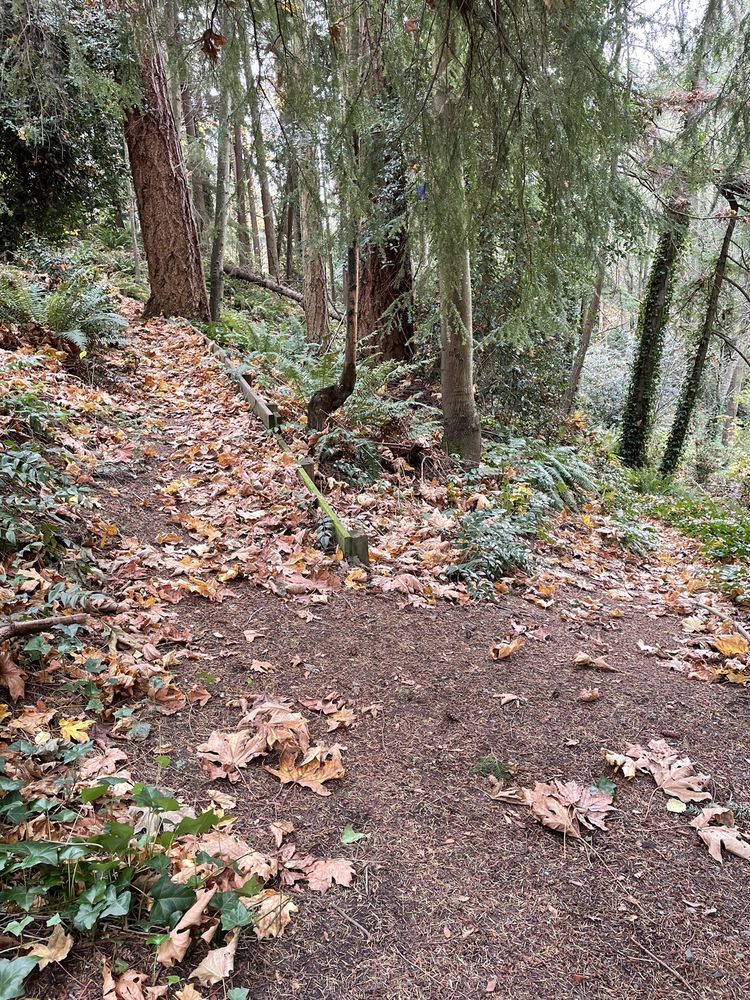 MAPLEWOOD PARK - Updated December 2025 - 11 Photos - 19800 89th Pl W ...