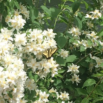 ESTHER SIMPLOT PARK - Updated October 2025 - 80 Photos & 16 Reviews ...