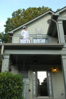 PYRAMID EXTERMINATORS & WILDLIFE CONTROL - Updated December 2025 - 33 ...