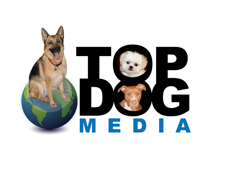 TOP DOG MEDIA - Updated April 2025 - Request Consultation - Palm Harbor ...