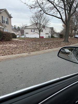 RED ROCK MANAGEMENT AGENCY - Updated December 2025 - 11 Photos & 48 ...