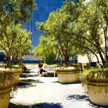 343 SANSOME ROOFTOP DECK - Updated January 2025 - 147 Photos & Average of 4.4 Stars Reviews ...