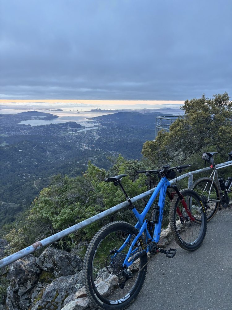 WEST COAST IN MOTION - Updated April 2025 - Tiburon, California - Bike ...
