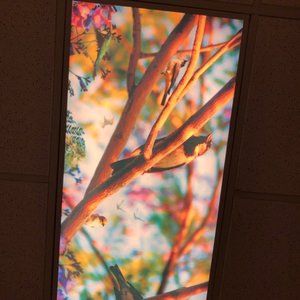 BELLIN HEALTH HOWARD - Updated December 2025 - 2714 Riverview Dr, Green ...