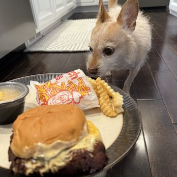 FYVE BROS - Updated April 2025 - 1581 Bloomingdale Rd, Glendale Heights ...