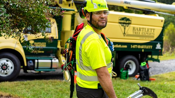 BARTLETT TREE EXPERTS - Updated December 2025 - 57 Photos & 23 Reviews ...