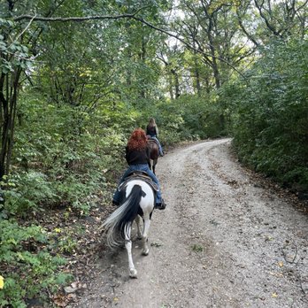 MEMORY LANE STABLES - Updated October 2025 - 168 Photos & 124 Reviews ...