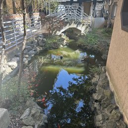 OCEAN ZEN - Updated October 2025 - 206 Photos & 145 Reviews - 4117 S ...