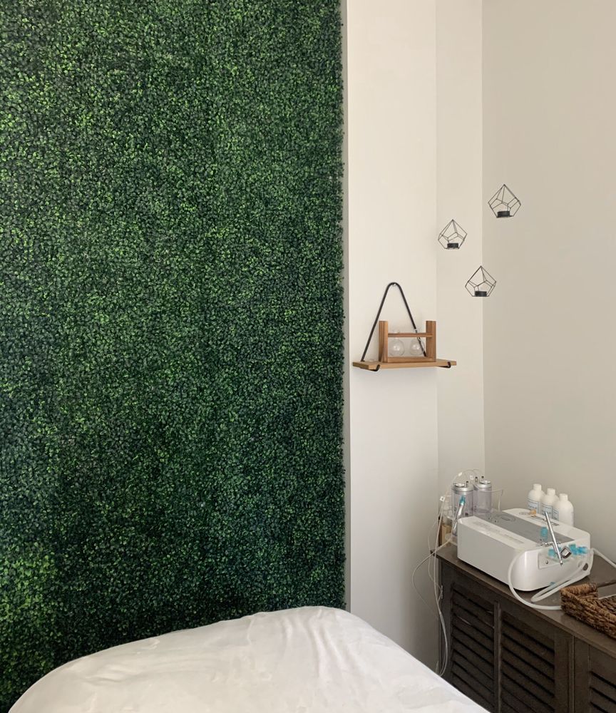 THE ALCHEMY FACIAL BAR - Updated July 2025 - Request an Appointment ...