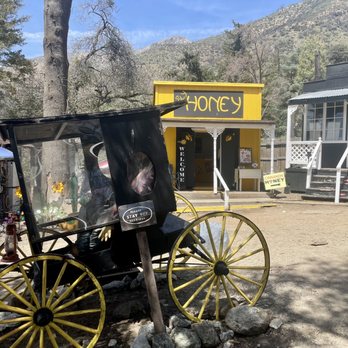 OAK TREE MOUNTAIN - Updated July 2025 - 646 Photos & 156 Reviews ...