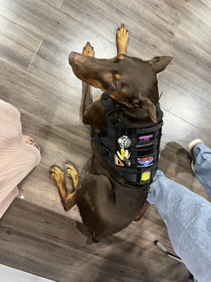 HTX TACTICAL - Updated December 2025 - 54 Photos & 26 Reviews - 5401 ...