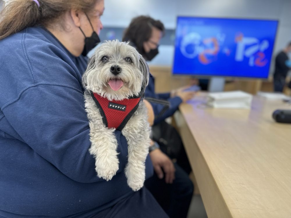 APPLE CHESTNUT STREET - Updated December 2025 - 137 Photos & 476 ...