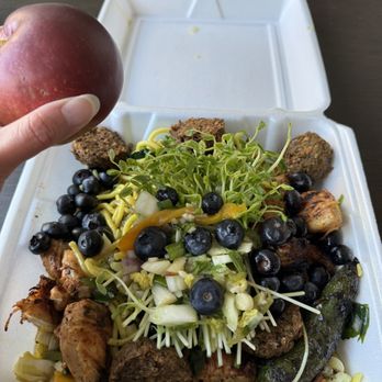 OCTOPUS FALAFEL TRUCK - Updated May 2025 - 673 Photos & 506 Reviews ...