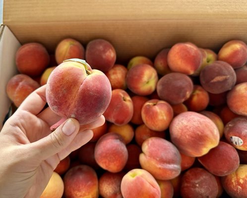 CHARLIE’S U-PIK - Updated December 2025 - 35 Photos - 257 Charlies Lane ...