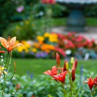 SOUTHERN EXPOSURE LANDSCAPE & SPRINKLER - Updated April 2026 - 10 ...