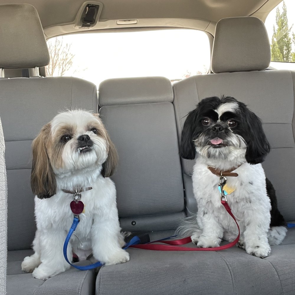 JACK & RASCAL’S - Updated December 2025 - 72 Photos & 105 Reviews ...